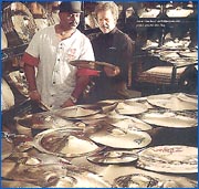 TOK-TOK Instruments Musicals